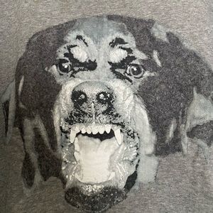 Givenchy | Sweaters | Givenchy Grey Rottweiler Sweatsuit | Poshmark